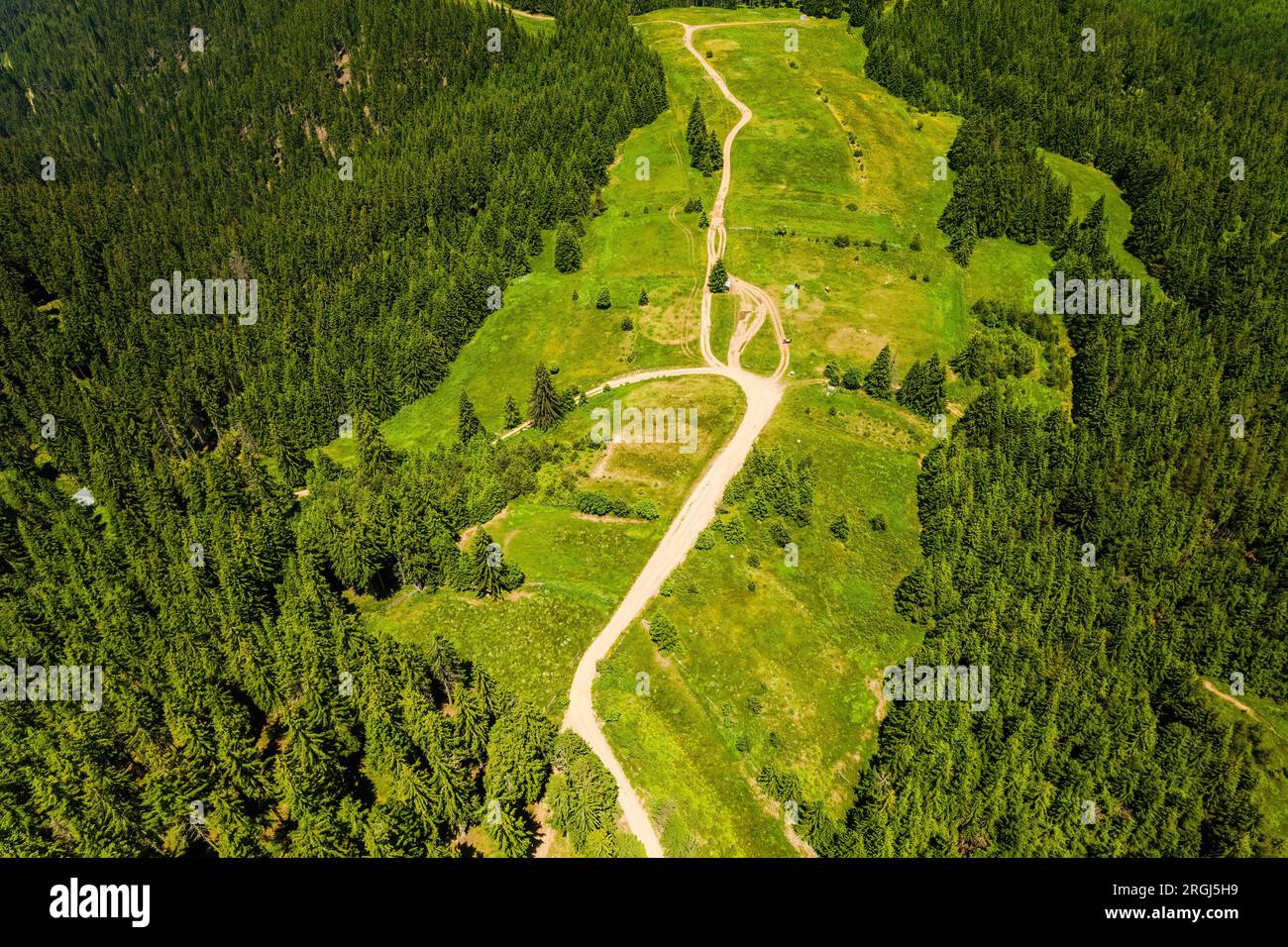 Beautiful natural green forest field with view from air, aerial photo ...