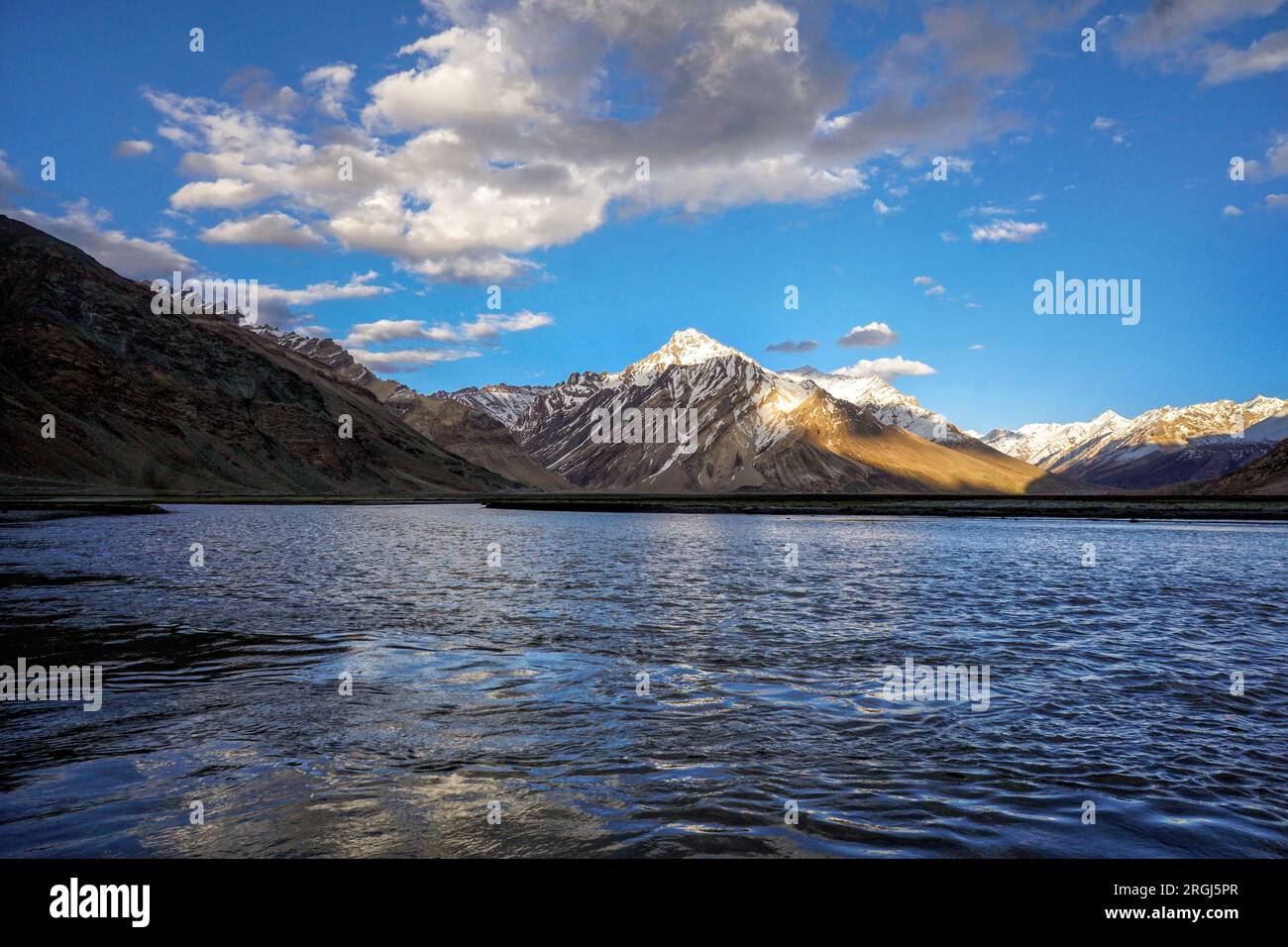 Beautiful nature of Zanskar valley with wild flower, Jammu Kashmir ...