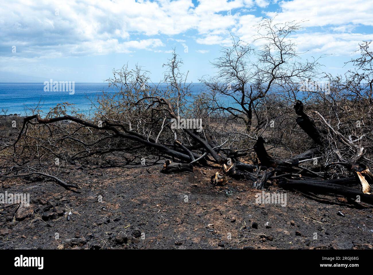 Hawi, HI, USA. 9th Aug, 2023. The Akoni Pule fire in the North Kohala ...