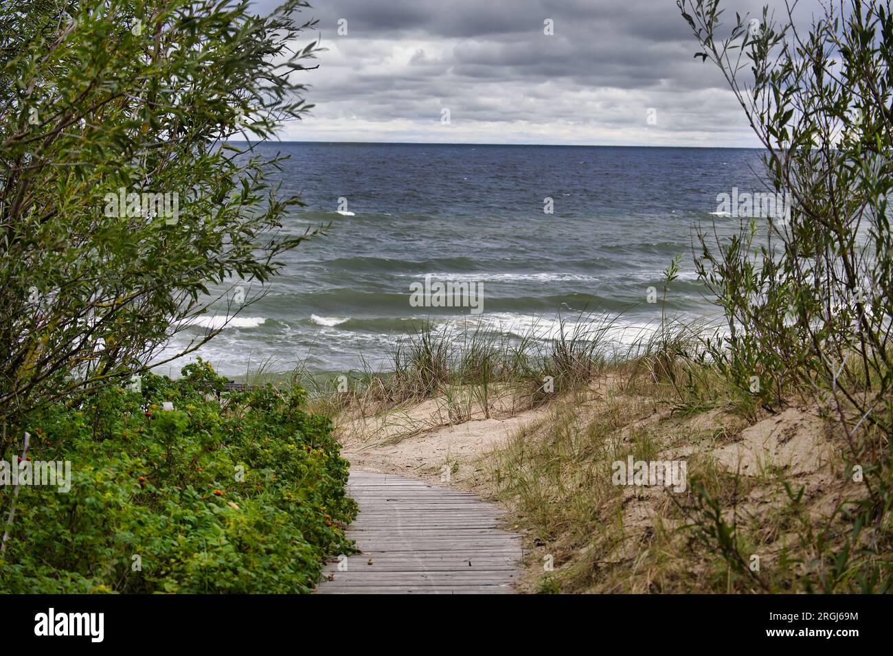 Peaceful walk towards the beach, surrounded by the calming presence of ...