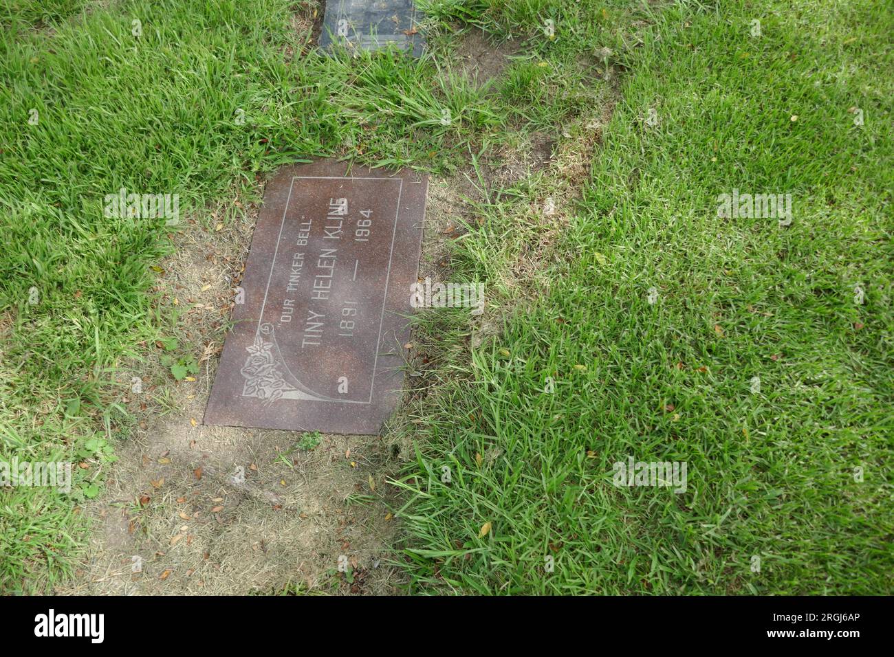 Inglewood, California, USA 8th August 2023 Actress Tiny Kline Grave at ...