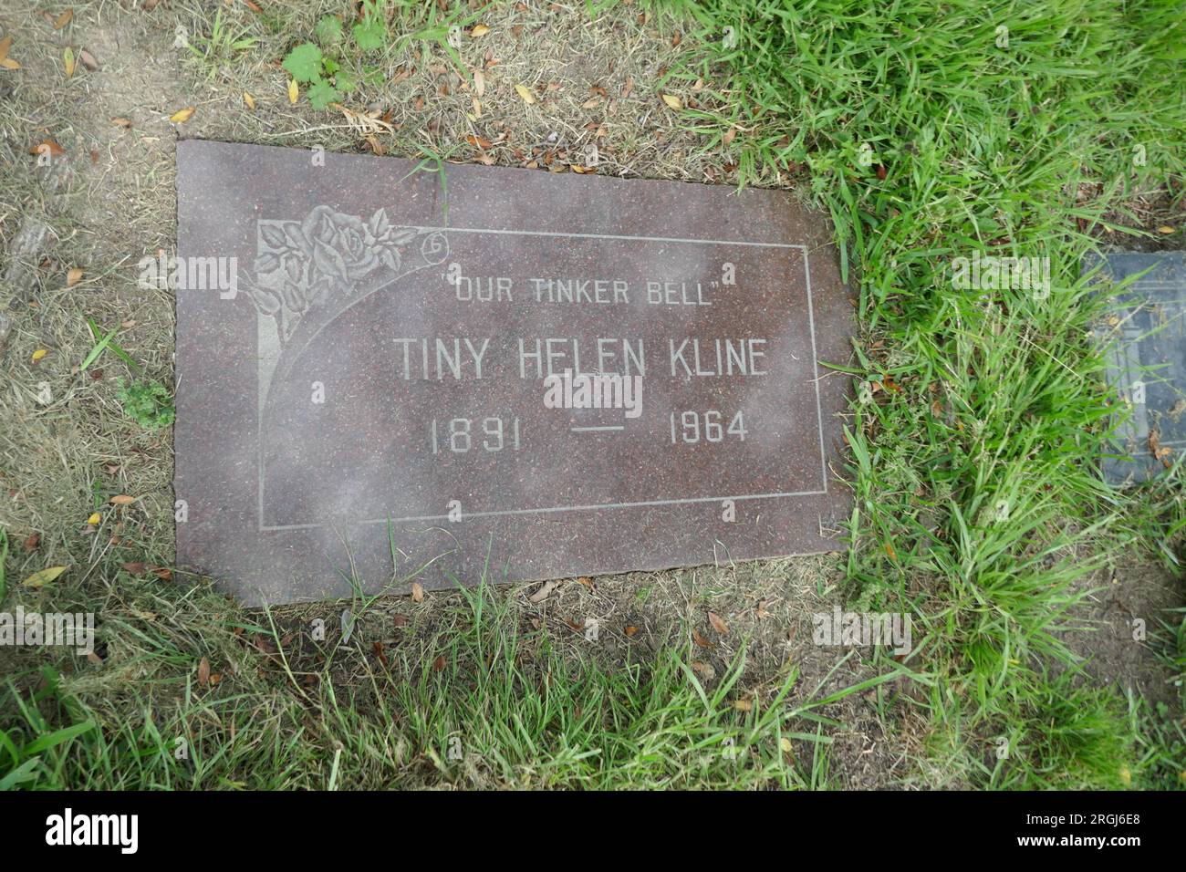 Inglewood, California, USA 8th August 2023 Actress Tiny Kline Grave at ...