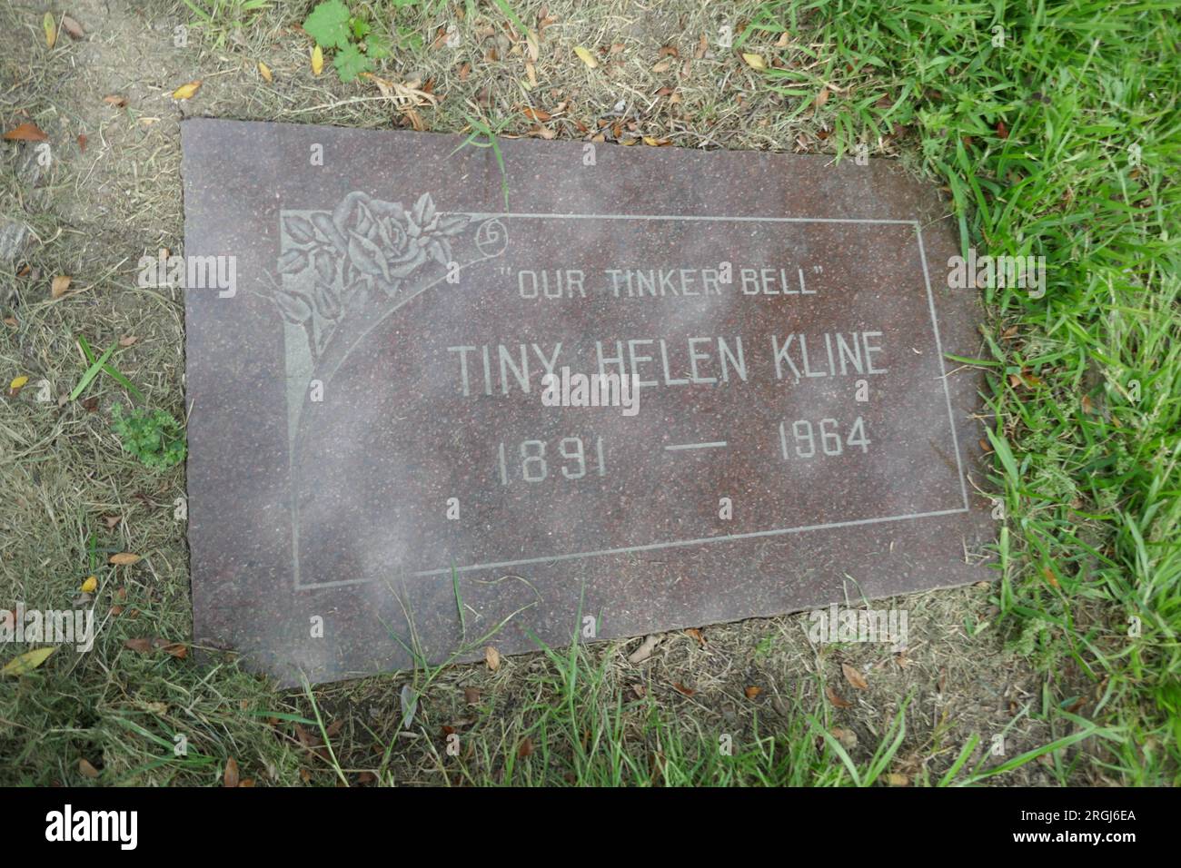Inglewood, California, USA 8th August 2023 Actress Tiny Kline Grave at ...