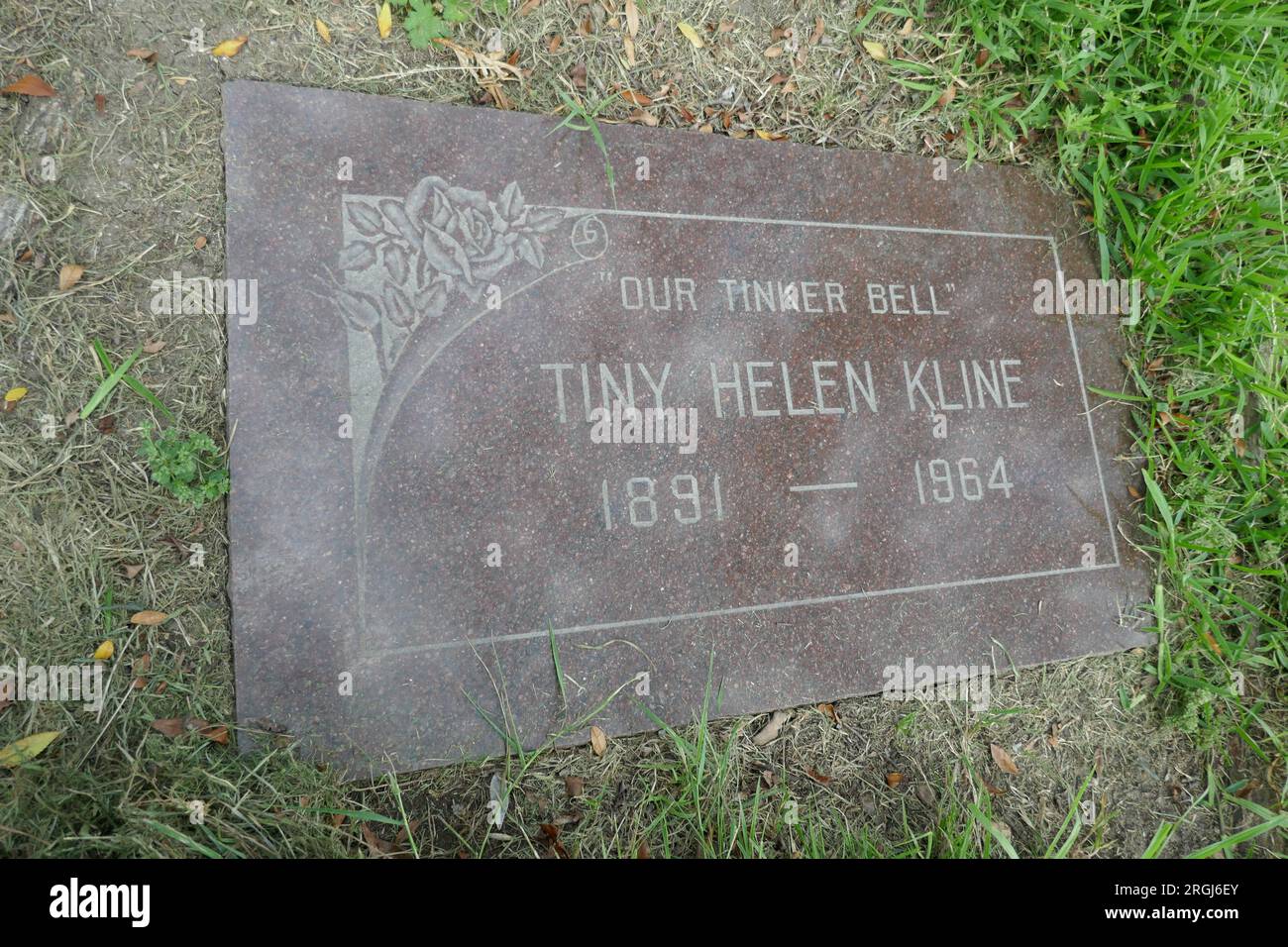 Inglewood, California, USA 8th August 2023 Actress Tiny Kline Grave at ...