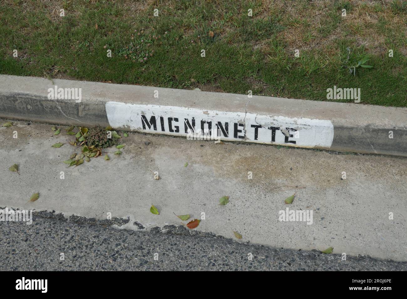 Inglewood, California, USA 8th August 2023 Actress Louise Fazenda Grave in Mignonette Section at ...