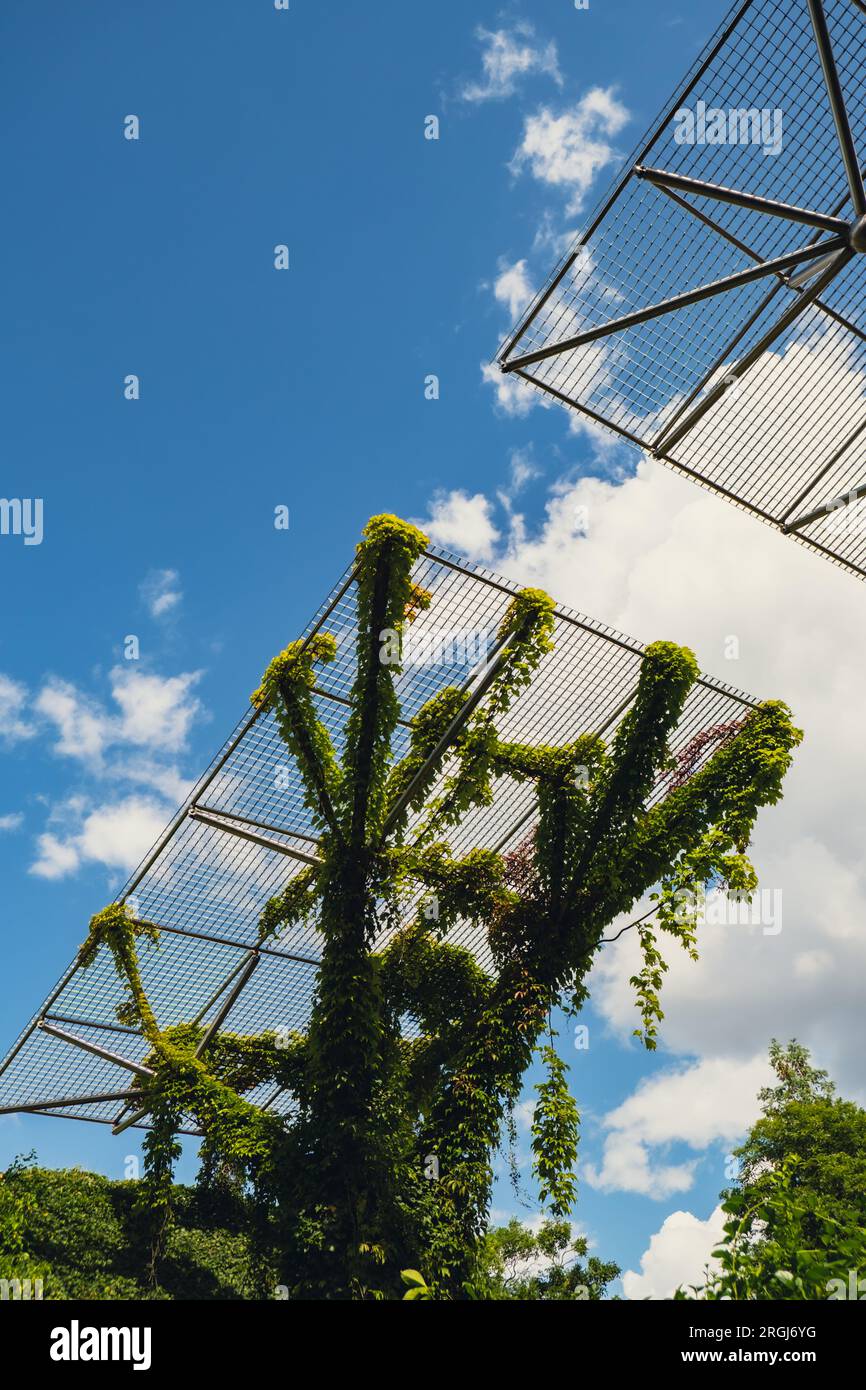 Botanical garden on the roof of the Warsaw University library modern ...