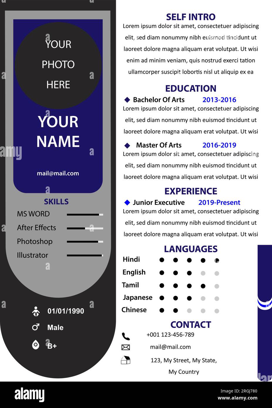 Beautiful modern resume cv template design elegant stylish. Stand apart ...