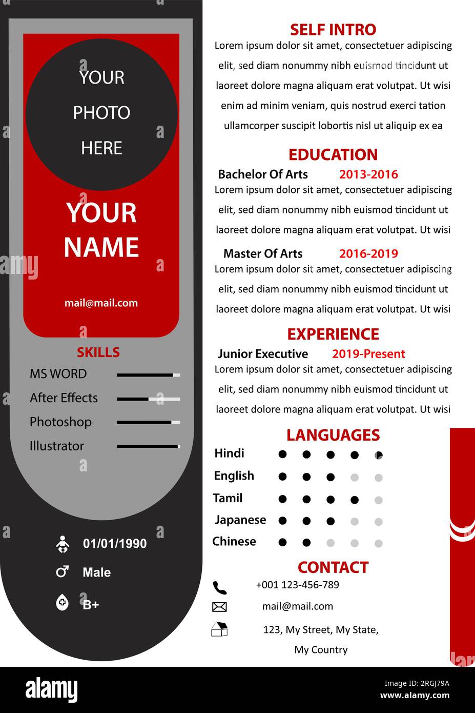 Beautiful modern resume cv template design elegant stylish. Stand apart ...
