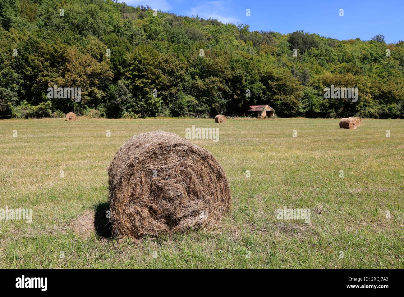 Balle de foin ronde hi-res stock photography and images - Alamy