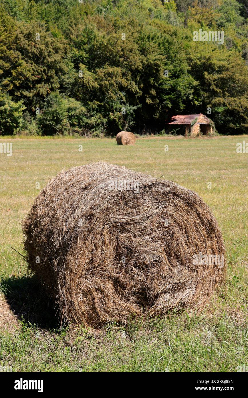 Champs de parcelles agricoles hi-res stock photography and images - Alamy