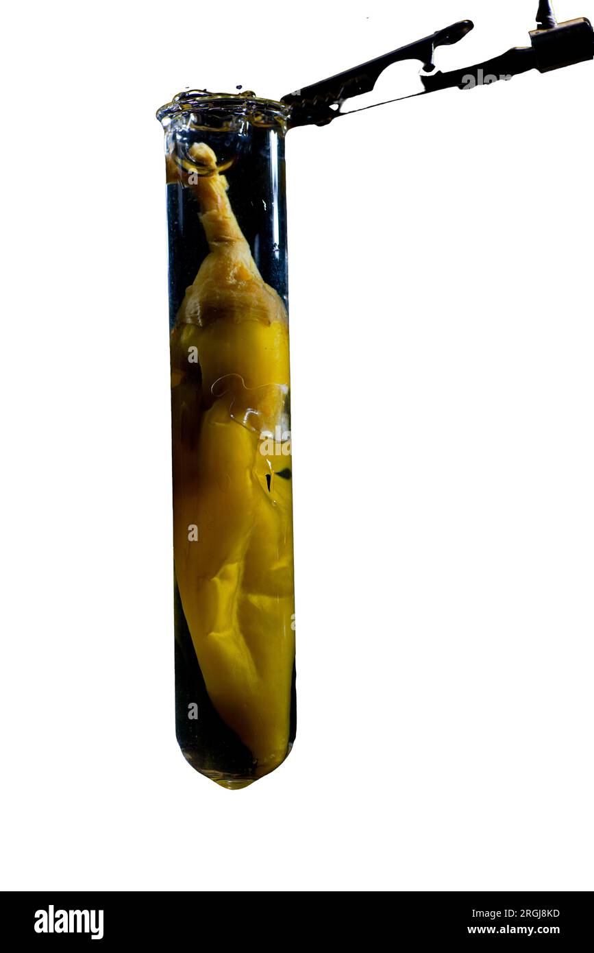 Objects Things Different Isolated Against White Background Stock Photo ...