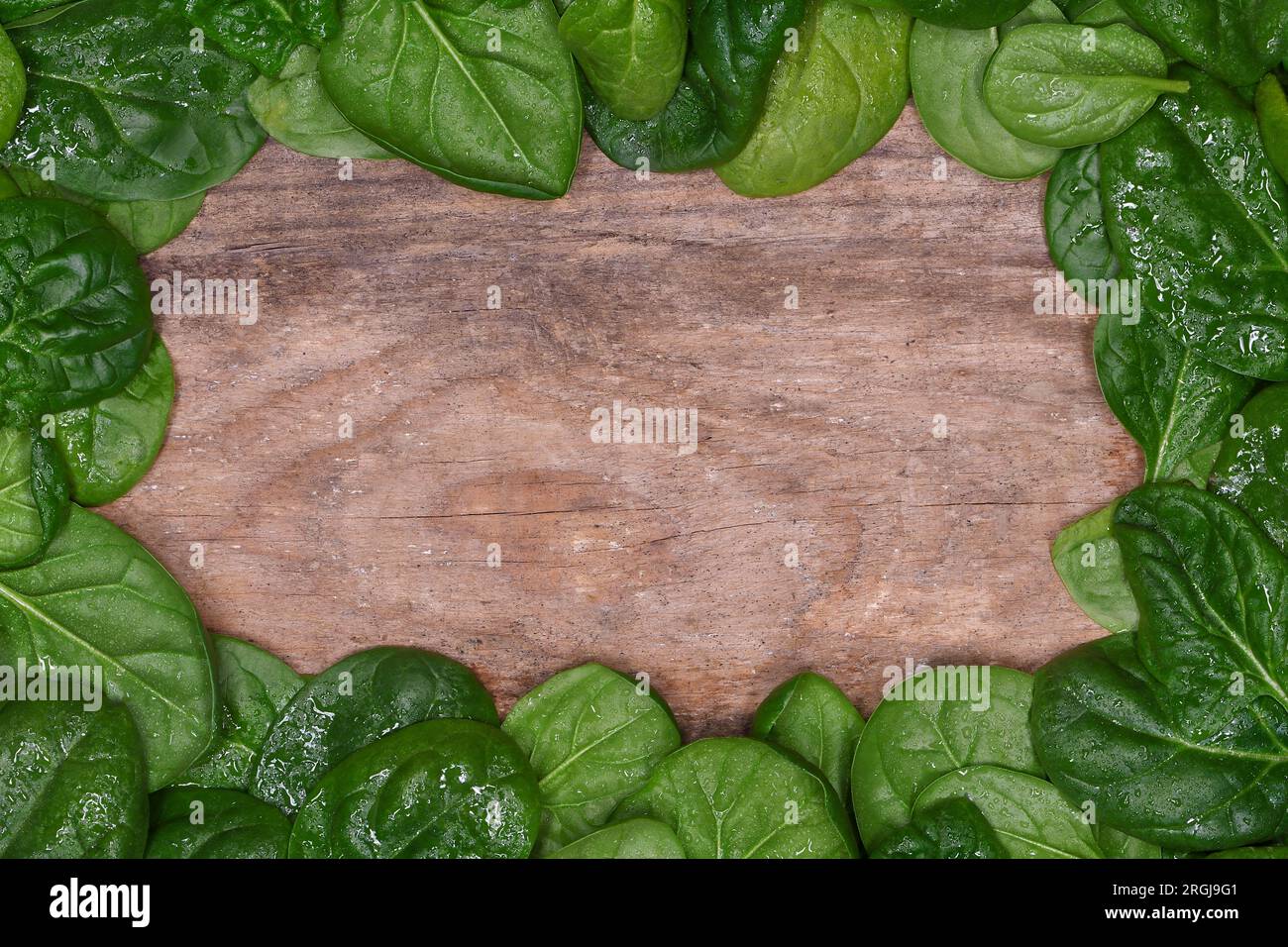 A border frame, flat, top view of a pile of slightly wet, fresh, Baby ...