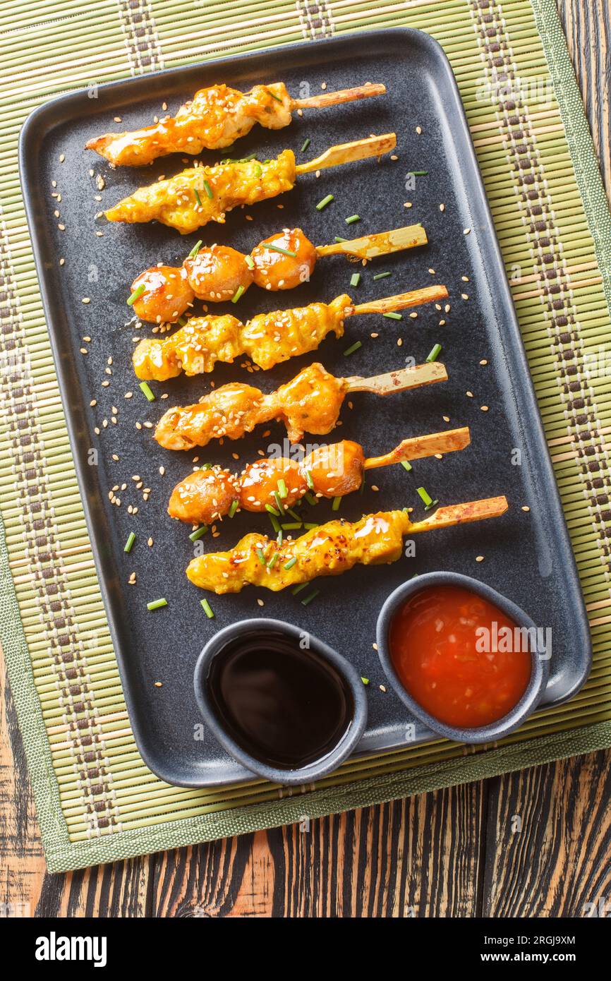 Set of japanese barbecue yakitori close-up on a plate on the table ...