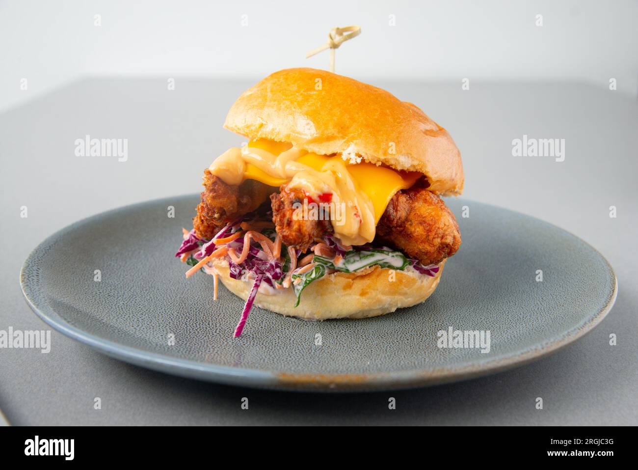 Hamburger in display for the photo shoot in Tokyo, Japan. Nowadays in ...