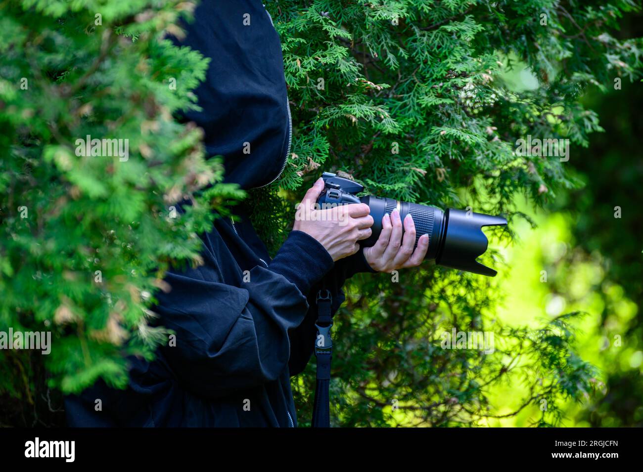 Man spying bushes hi-res stock photography and images - Alamy