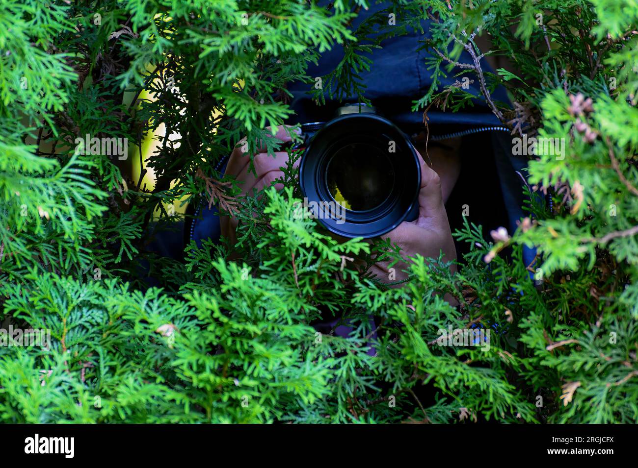 Paparazzi photograph a famous person on the sly. A private detective is ...