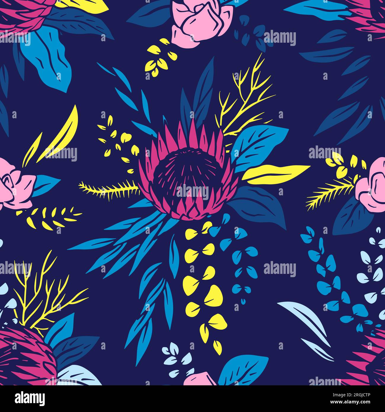 Protea flowers blue background Stock Vector Images - Alamy