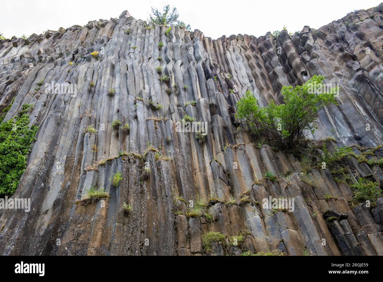 Historical silhouette hi-res stock photography and images - Alamy