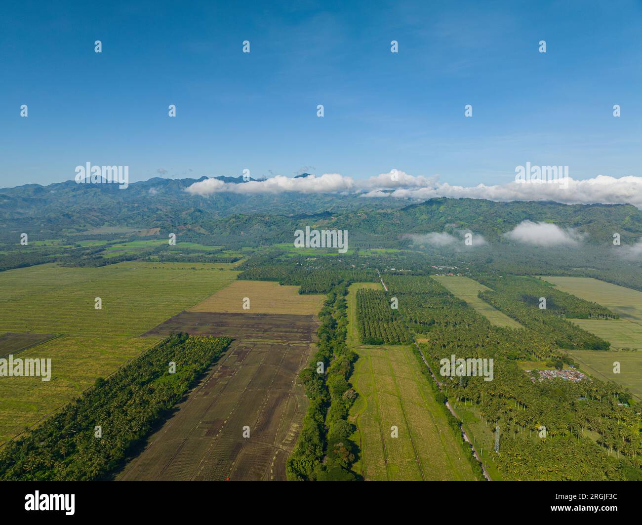 Beautiful cloudscape over the farm and agricultural land with crops in ...