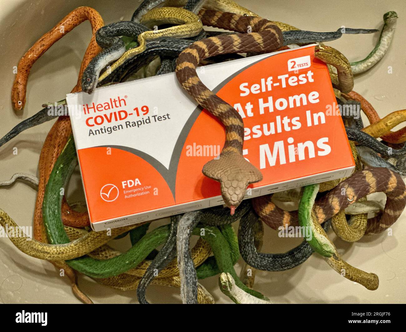 Snakes nestled hi-res stock photography and images - Alamy