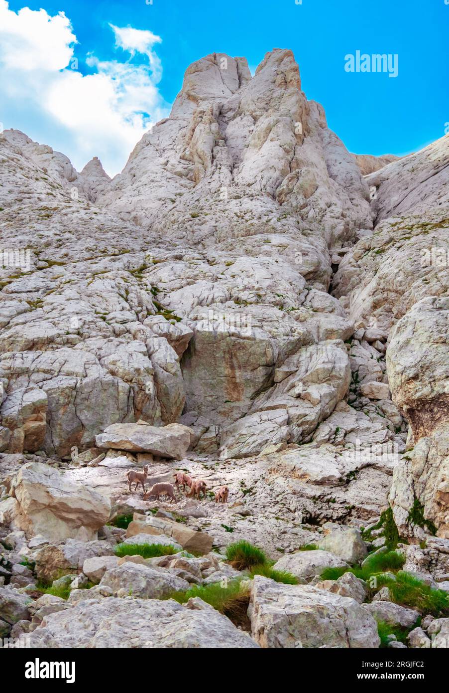 Gran Sasso Italy The Extreme Trekking To Peak Of Corno Piccolo Above 2600 Meters In Abruzzo