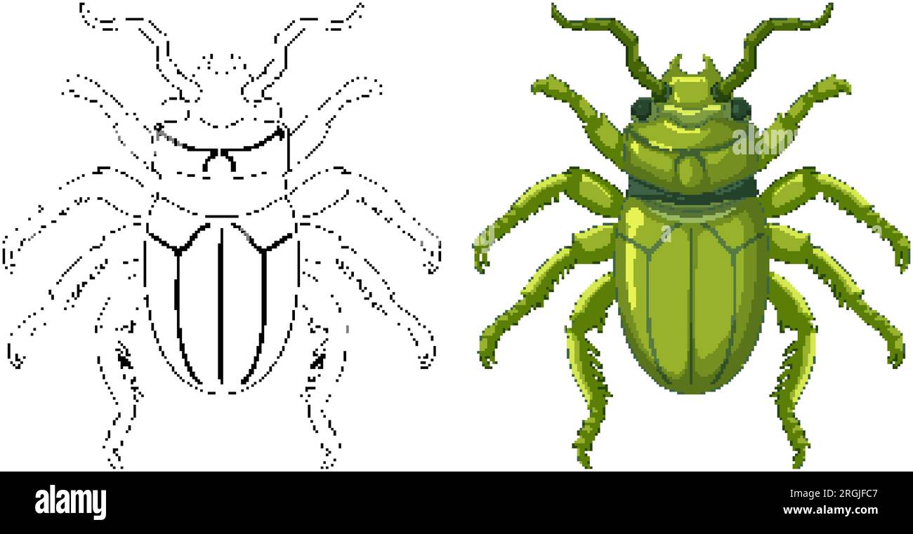 Scarab Beetle Outline for Colouring illustration Stock Vector Image ...