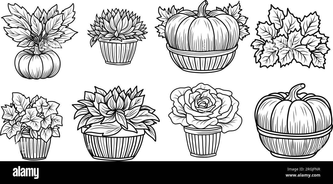 Set of autumn coloring pages with pumpkins and sunflowers.Autumn mood ...