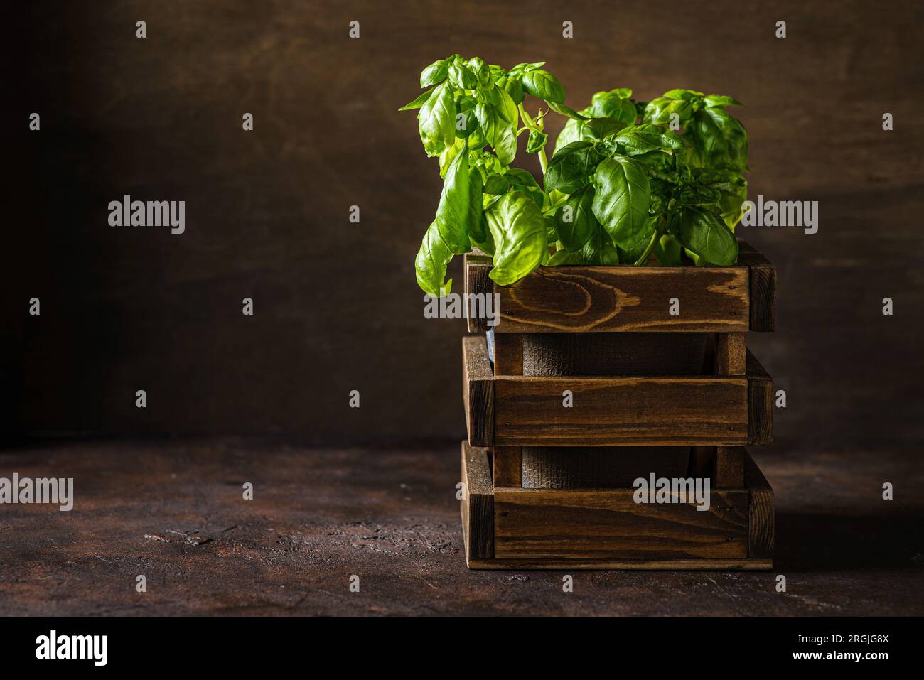 green basil in a wooden box. High quality photo Stock Photo - Alamy