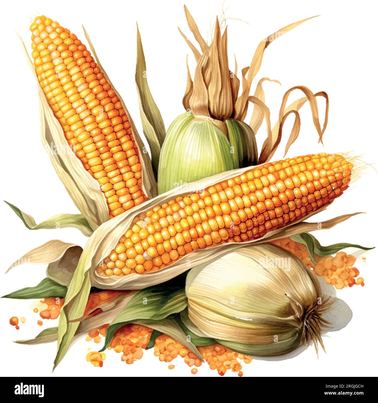 Rustic illustration hi-res stock photography and images - Alamy
