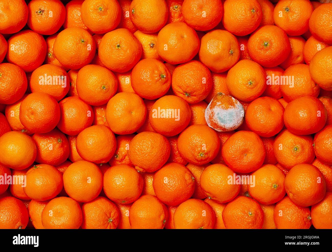Expired food hi-res stock photography and images - Alamy