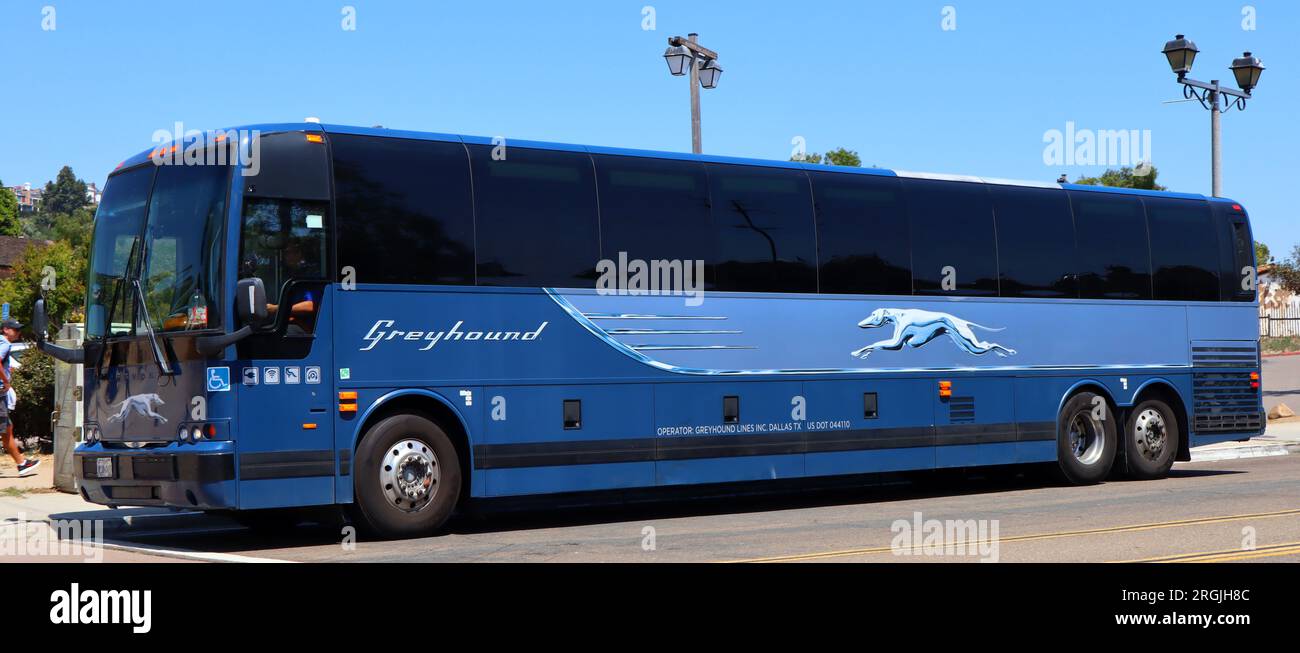 Greyhound bus operated by Greyhound Lines Inc. Dallas TX Stock Photo - Alamy