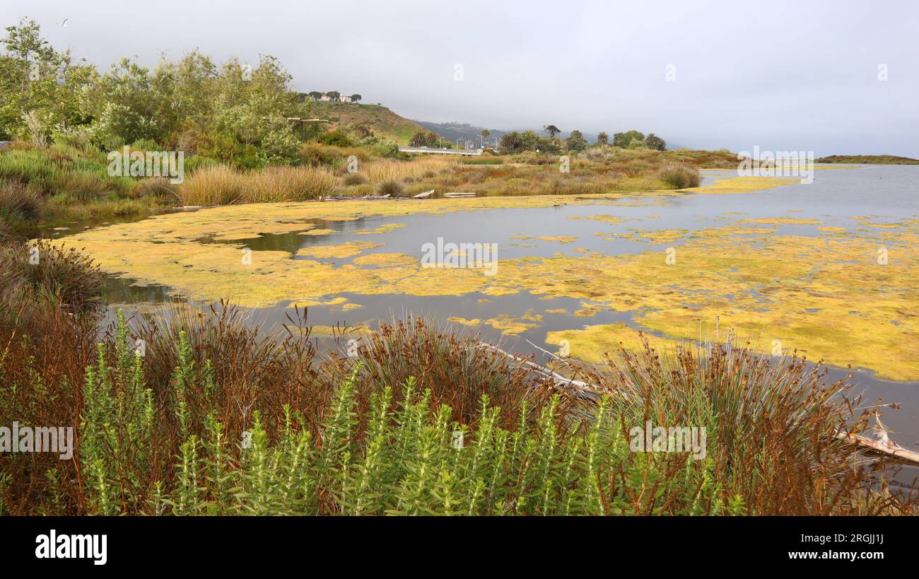 Malibu, California: detail view of Malibu Lagoon State Beach Stock ...