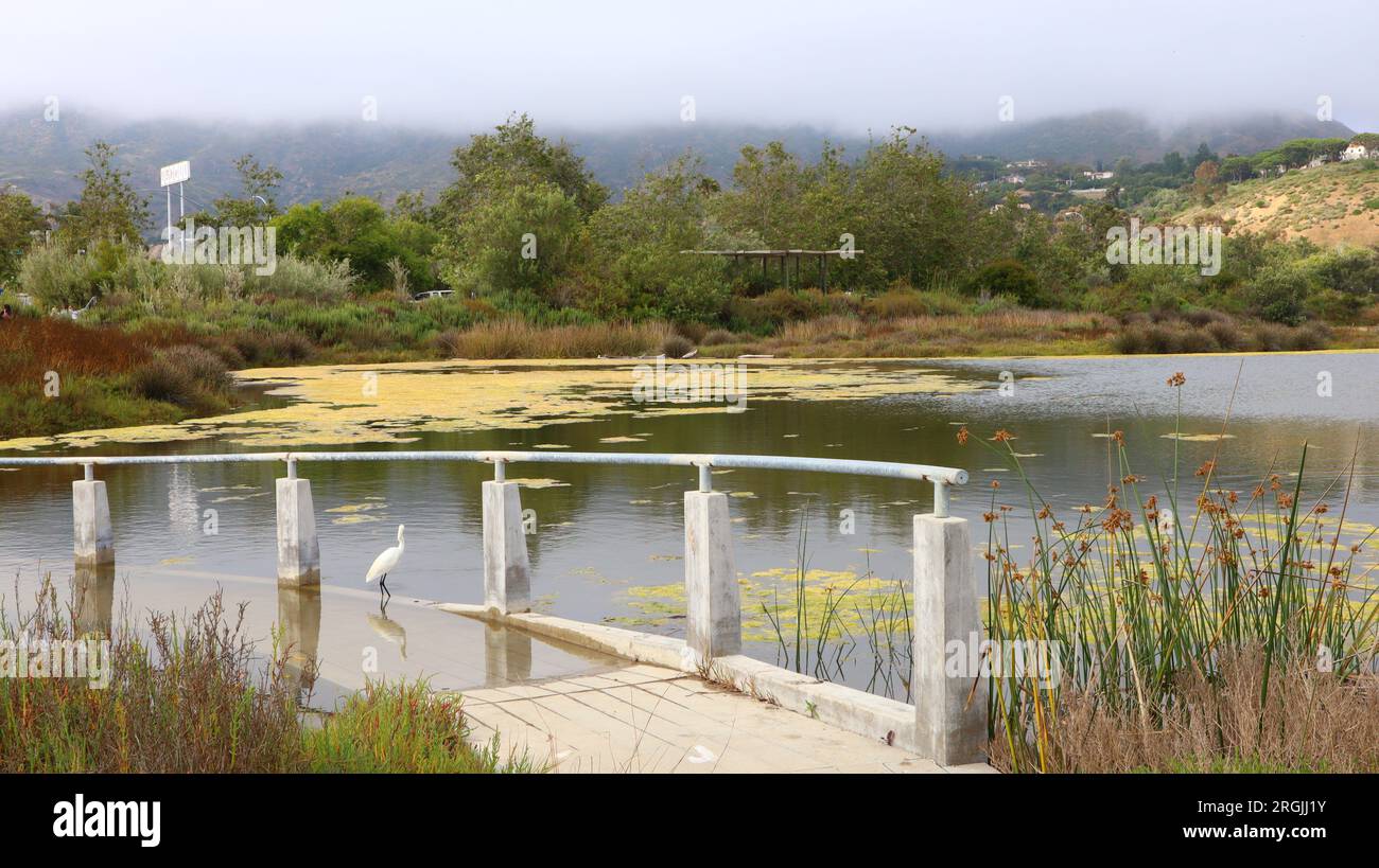 Malibu, California: detail view of Malibu Lagoon State Beach Stock ...