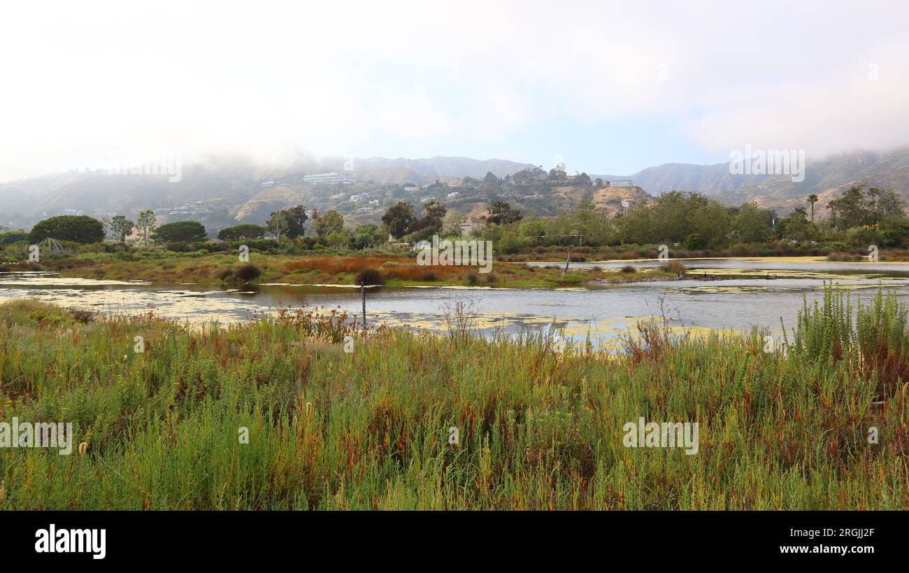 Malibu, California: detail view of Malibu Lagoon State Beach Stock ...