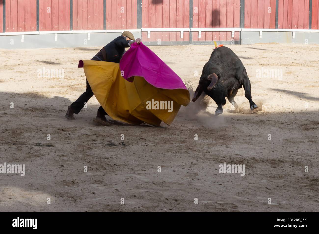 Tourada portuguese hi-res stock photography and images - Alamy