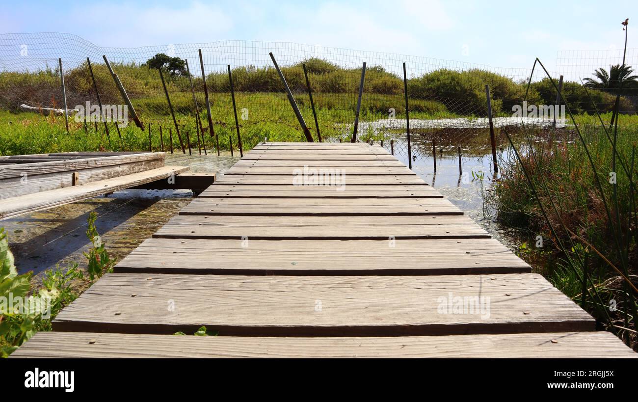 Malibu, California: detail view of Malibu Lagoon State Beach Stock ...