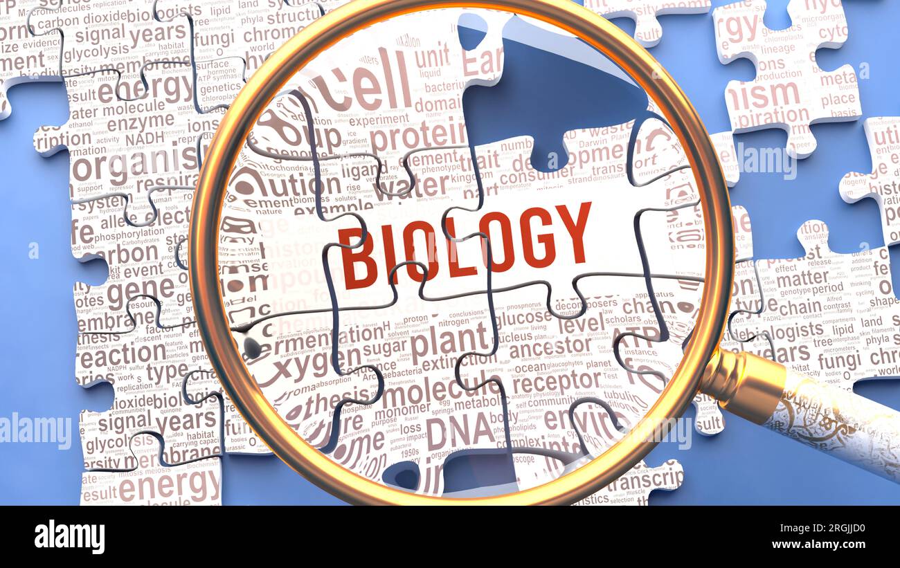 Biology being closely examined along with multiple vital concepts and ...