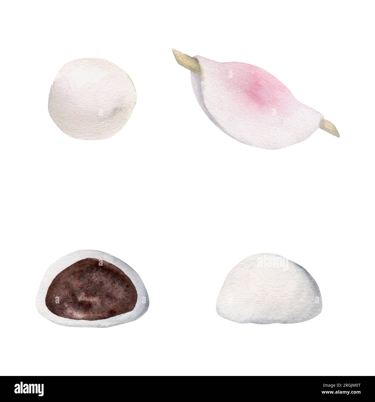 Watercolor hand drawn traditional Japanese sweets. Winter wagashi ...