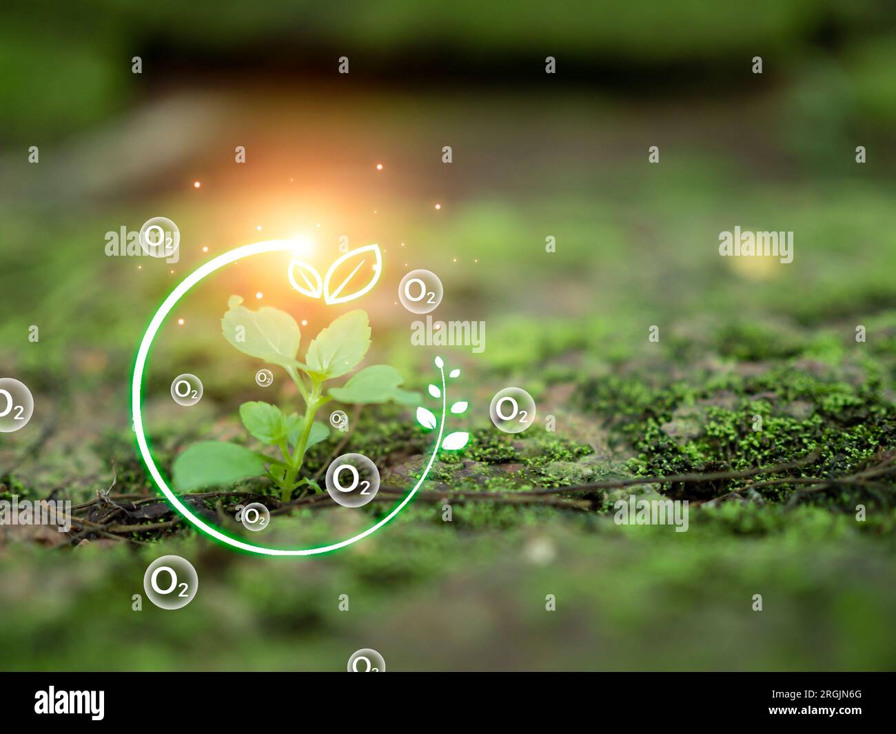 CO2 emission reduction concept, clean and friendly environment without ...