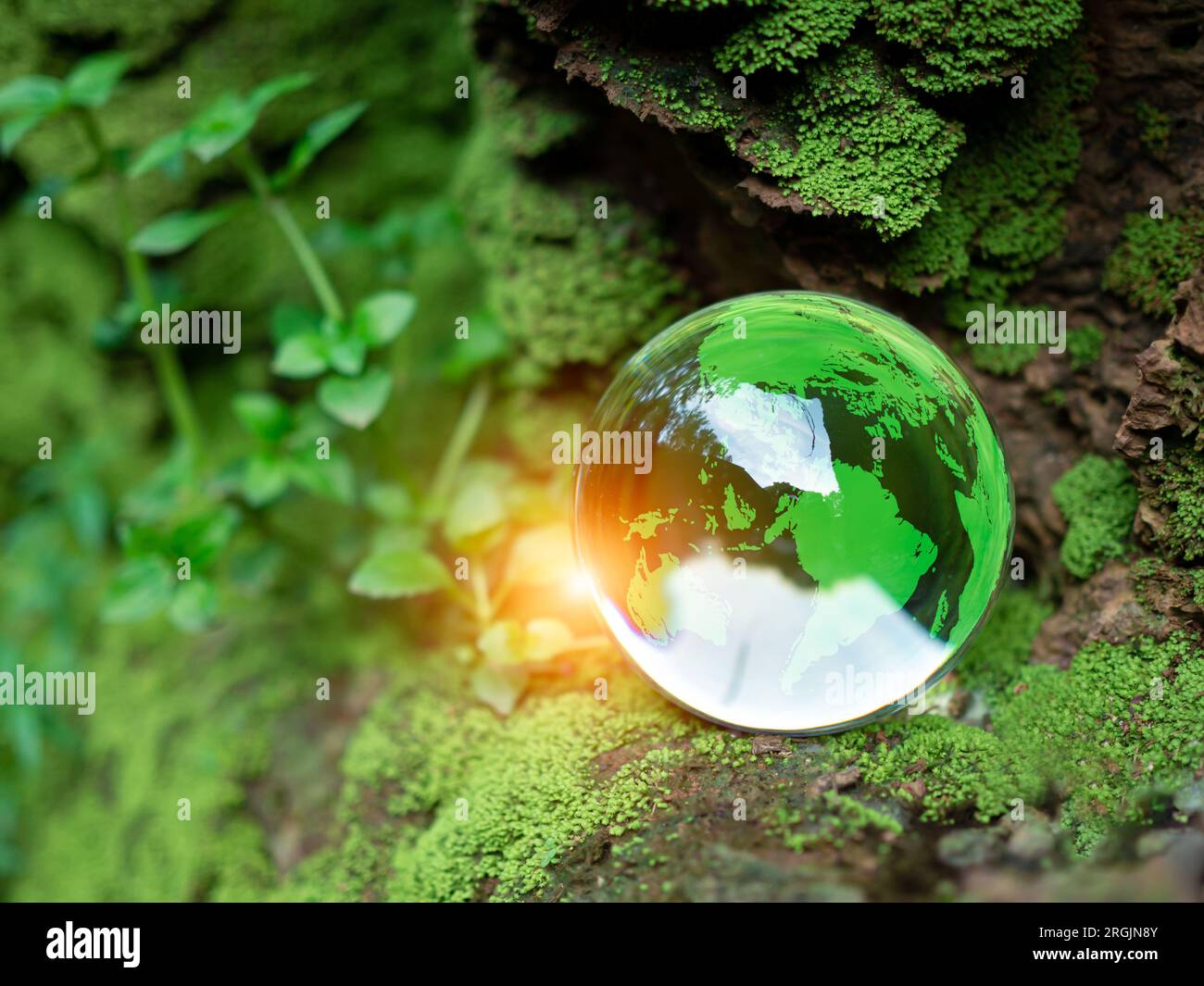 Crystal ball on moss in green forest. Environment concept Ecology and ...