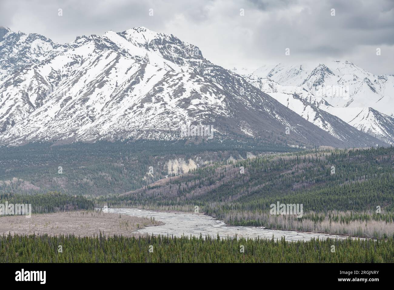 Matanuska river valley forest hi-res stock photography and images - Alamy