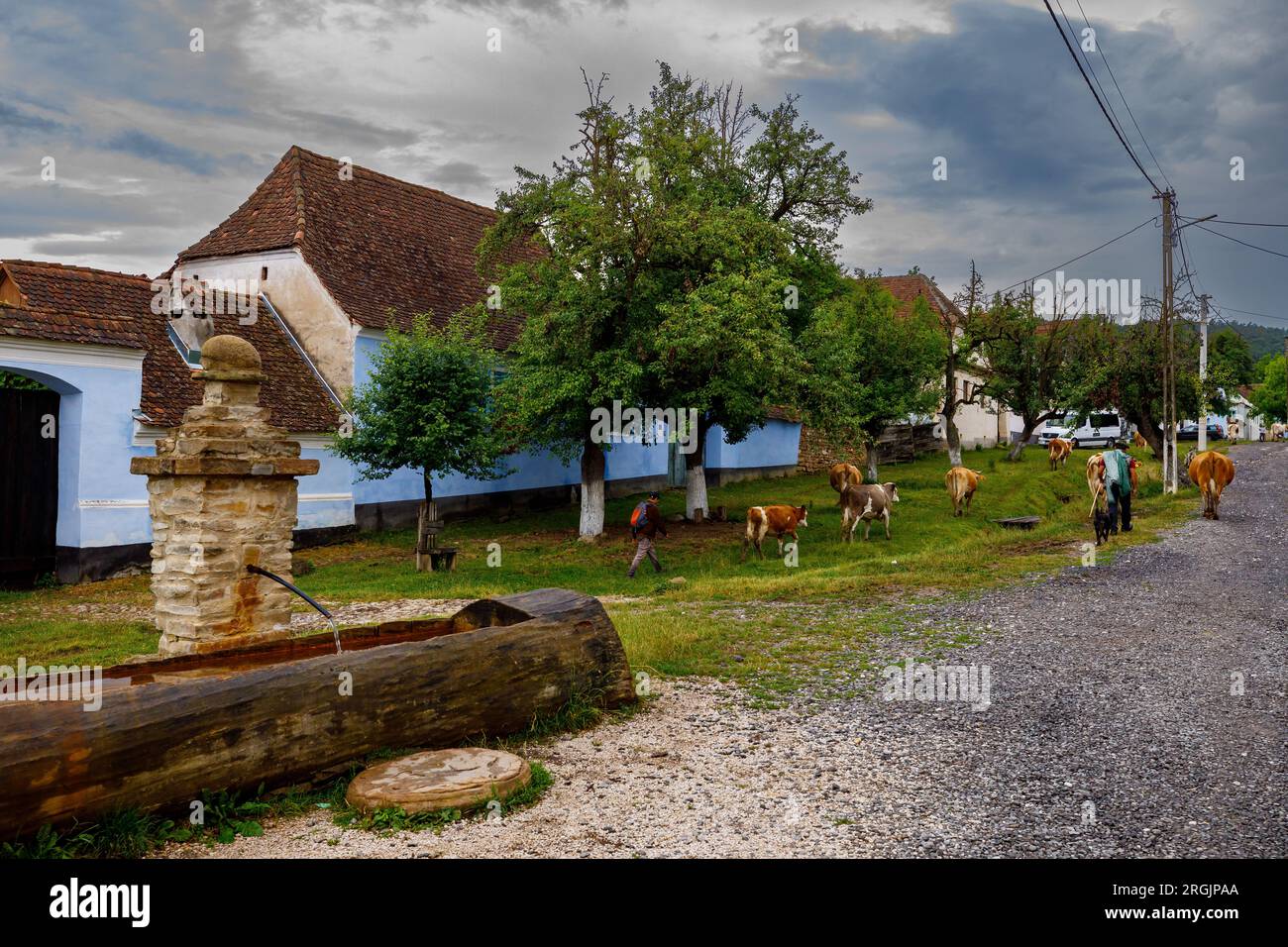 The Village of Viscri in Romania Stock Photo - Alamy