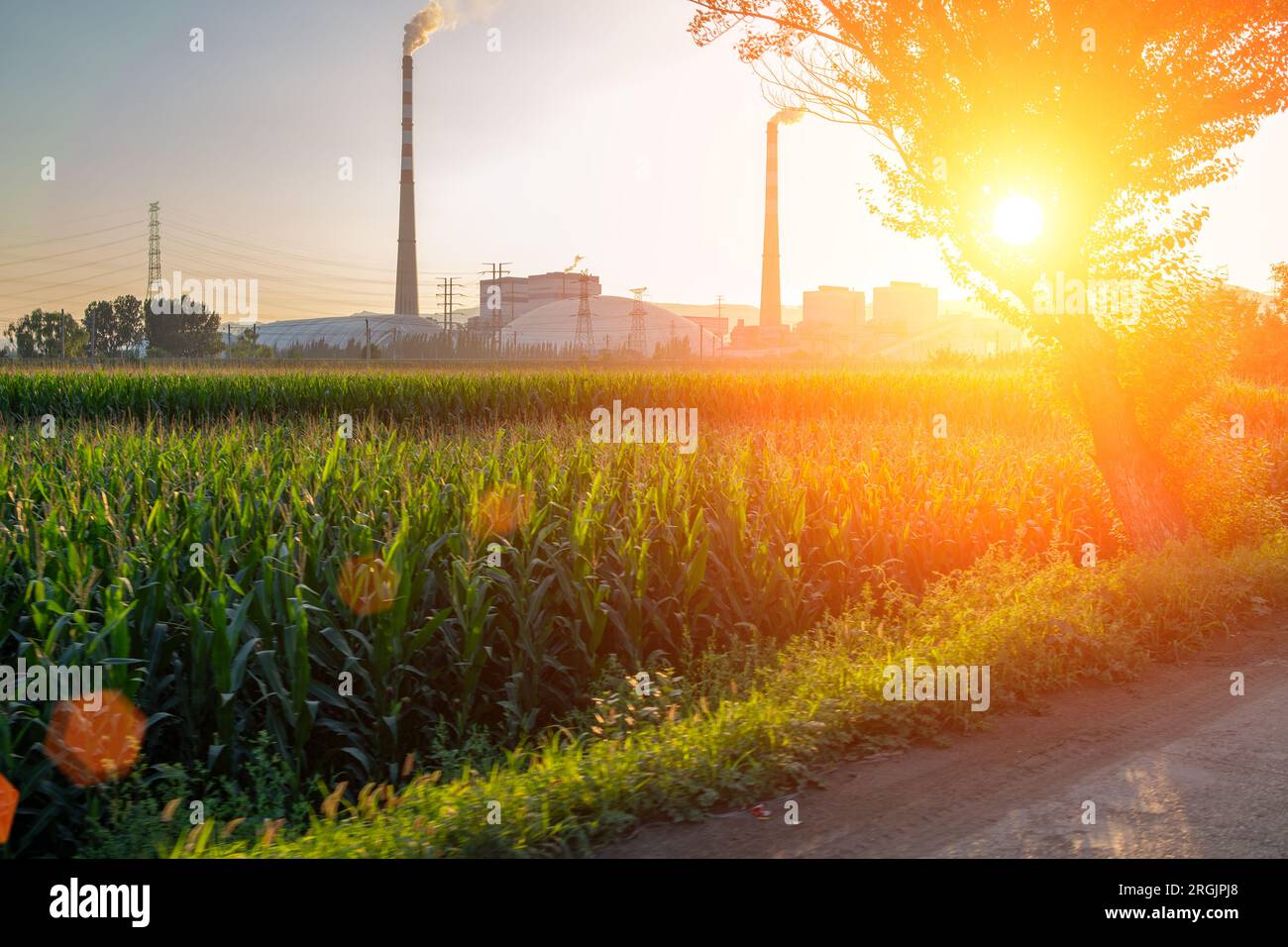Wind power plant sunset time hi-res stock photography and images - Alamy