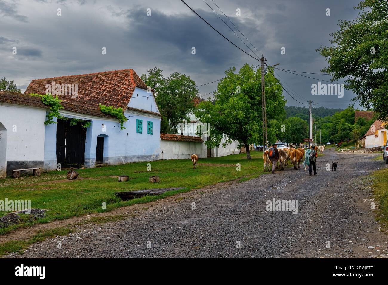 The Village of Viscri in Romania Stock Photo - Alamy