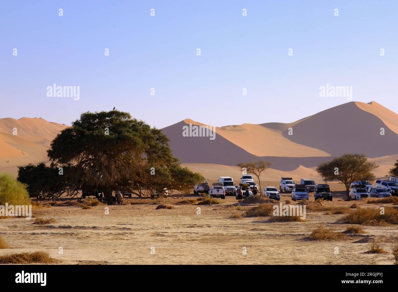 4x4 vehicles parked at the carpark beside the Sossusvlei Namibia Stock ...