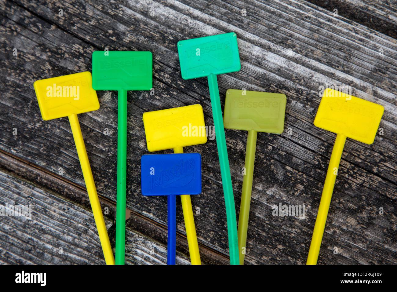 lyon , France - 08 08 2023 : teisseire juice logo sign and brand text ...