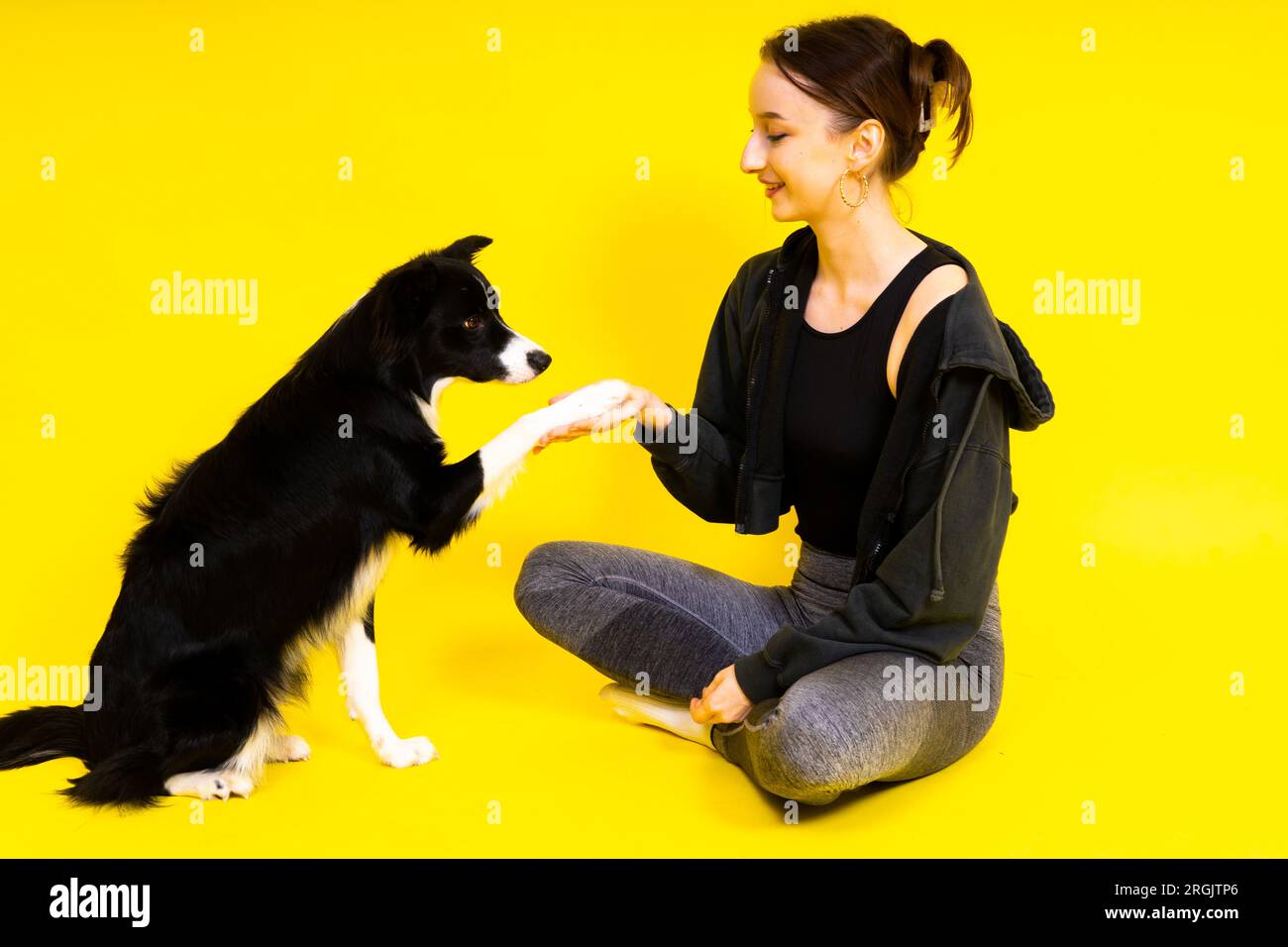 Puppy learning to obey. Dog training, owner giving prize to dog ...