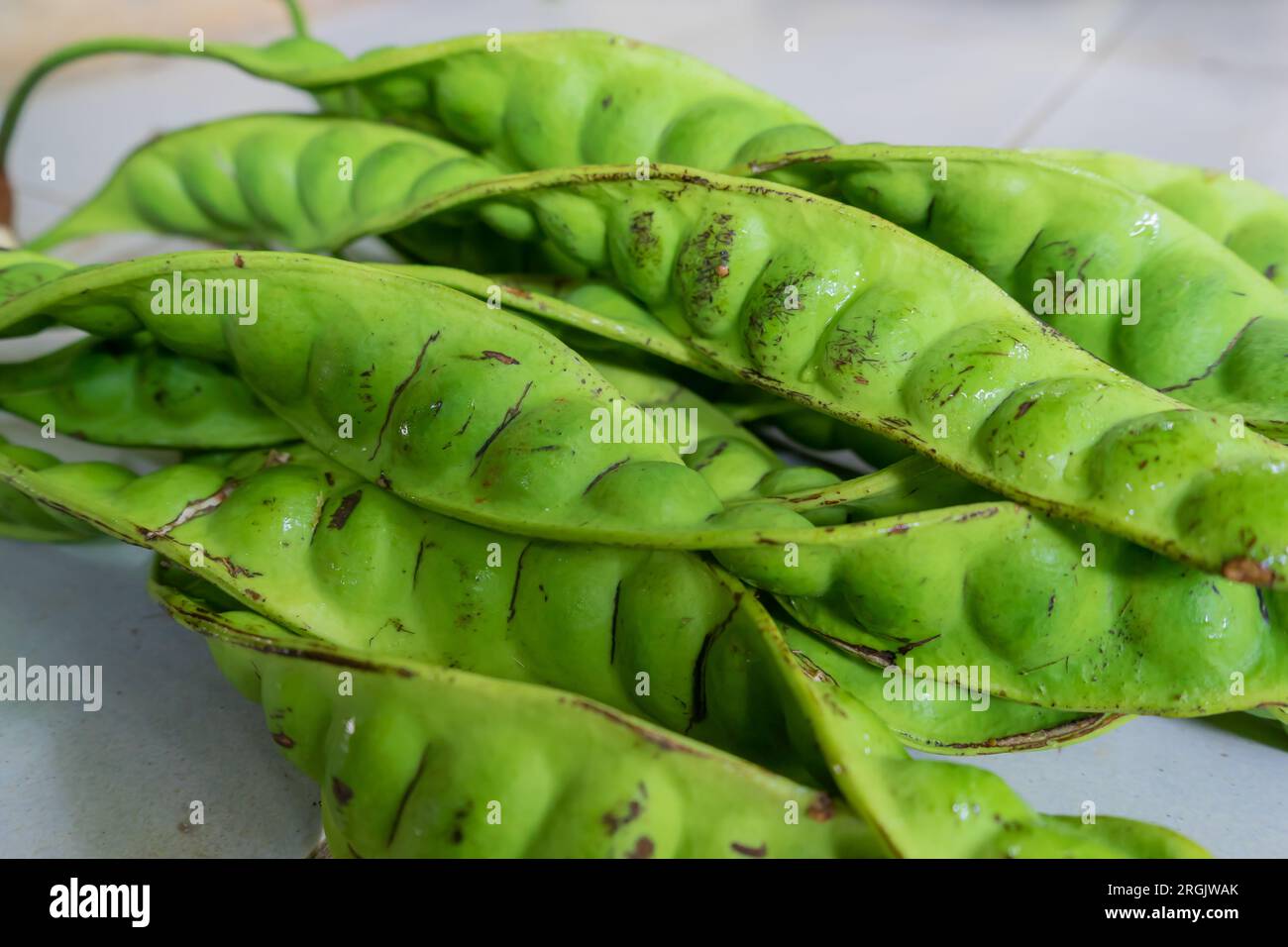 Raw of petai or pete (Parkia speciosa). Usually eaten raw and cooked ...
