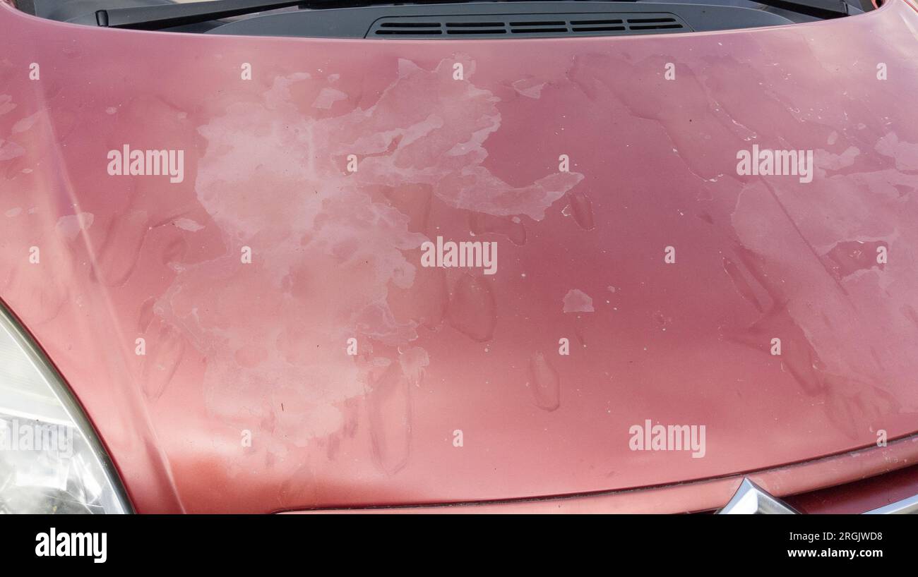 car red used peeling paint pink scratch on grunge faded hood worn by ...