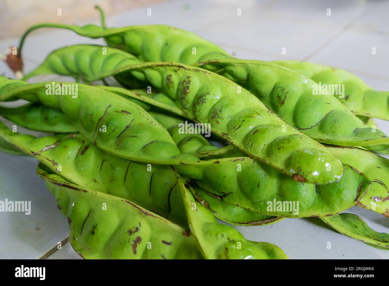 Petay hi-res stock photography and images - Alamy